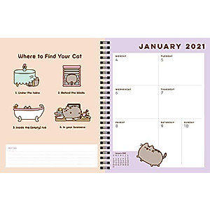 Pusheen 16-Month 2020-2021 Weekly/Monthly Planner Calendar