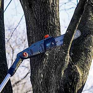 Scotts Outdoor Power Tools PS45010S 10-Inch 8-Amp Corded Electric Pole Saw, Adjustable Head & Oregon Bar and Chain