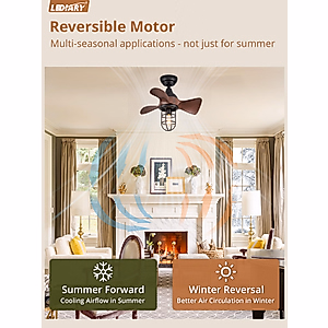 LEDIARY 23" Farmhouse Ceiling Fans with Lights - 6 Speeds Caged Ceiling Fan with Light, Small Ceiling Fan with Remote Control, Time Setting, 3 Reversible Blades for Indoor/Outdoor (Bulb Not Included)