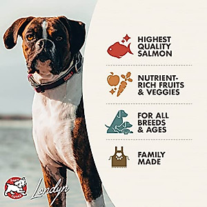 Fromm Four-Star Nutritionals Salmon A La Veg Dog Food - Premium Dry Dog Food - Salmon Recipe - 4 lb