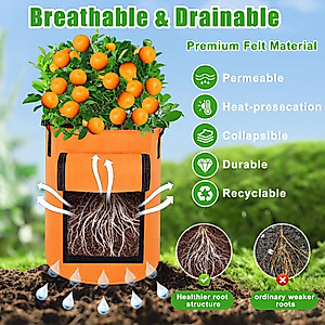 HYH 6 Pack 10 Gallon Potato Grow Bags with Flap Colorful Plant Grow Bags for Growing Potatoes Heavy Duty Thickened Nonwoven Fabric Grow Bags Pots Gardening Vegetable Growing Bags with Durable Handles