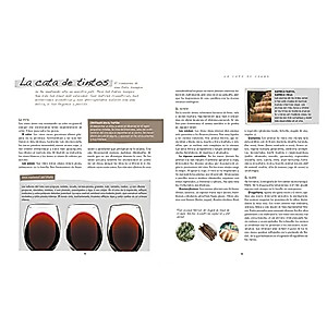 La cata de vinos: Guía completa para conocer y degustar los vinos (Edición actua lizada) 2021 / Wine Tasting (Spanish Edition)