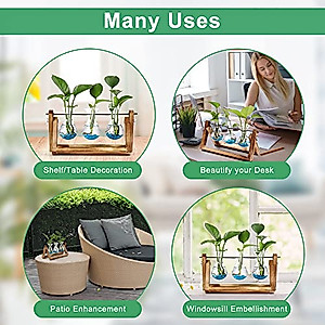 ONEPENG Propagation Stations,Birthday Gifts for Women,Home Garden Office Decor Plant Lover Gifts (3 Bulb Vase)