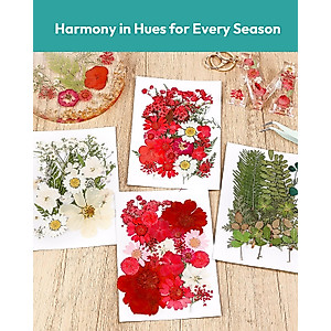 Dried Flowers, Resiners 100 Pcs Pressed Flowers for Craft Red Real Natural Dried Flowers Dry Leaves Kit for DIY Making Crafts Resin Soap Candle Scrapbook Supplies Card Making Jewelry