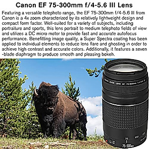 Canon EOS Rebel T7 DSLR Camera with 18-55mm is II Lens Bundle + Canon EF 75-300mm f/4-5.6 III Lens + 420-800mm HD SuperZoom Lens + 128GB Memory + Filters + Flash + Monopod + Professional Bundle Black