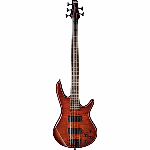Ibanez 5 String Bass Guitar, Right, Brown (GSR205SMCNB)