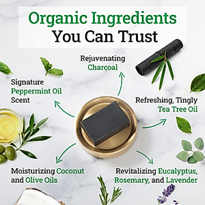 Natural Activated Charcoal Soap Bar (2-Pack) - Hand, Foot & Body Soap - Tea Tree, Peppermint & Charcoal Soap - Vegan, Cruelty Free - Made In USA - 8 Oz
