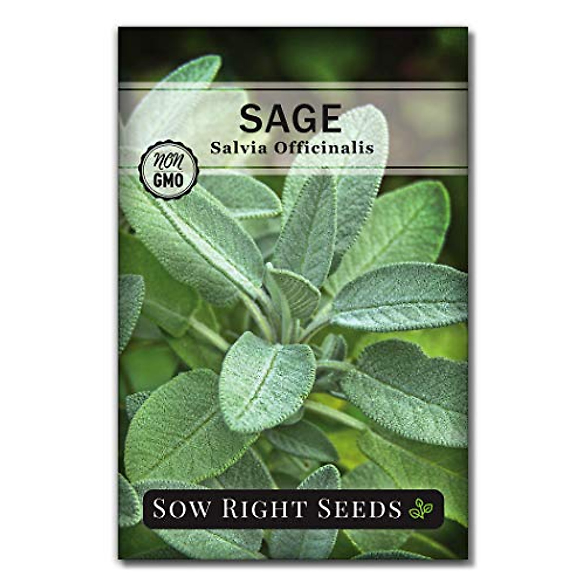 Sow Right Seeds - 15 Herb Garden Seed Collection - 15 Essential Herbs for Cooking; Non-GMO Heirloom Seeds; Full Instructions for Planting an Easy to Grow Kitchen Garden, Indoor or Outdoor; Great Gift…