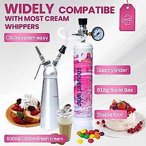 Cream Charger Tanks Sturdy Base Steel Whipped Cream Dispensers 0.95L 615Gram Whipped Cream Canisters with1 nozzle (Rainbow Candy-1 Cylinder)