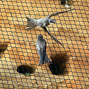 Hourleey Bird Netting, 7 x 100 FT Black Deer Fence Netting Reusable Protective Garden Netting for Vegetables Plants Fruit Trees with 50 Pcs Cable Ties