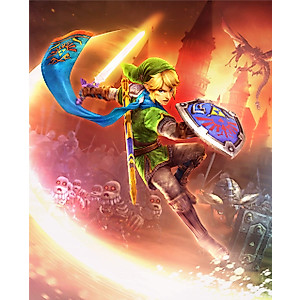 Hyrule Warriors - Nintendo Wii U (Renewed)