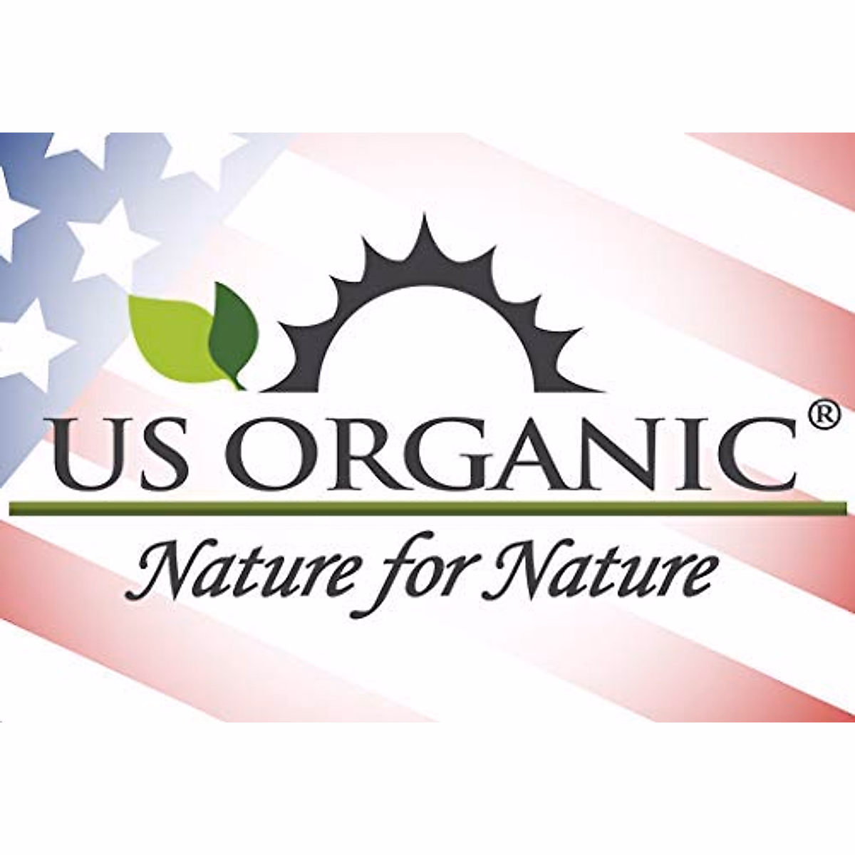 US Organic Banana Fragrance Oil_Oil Soluble_USDA Certified Organic_for Candle, Soap Making, Shampoo, Conditioner, Body Oil, Body Butter, Craft, DIY Projects, and Small Businesses_2 fl oz