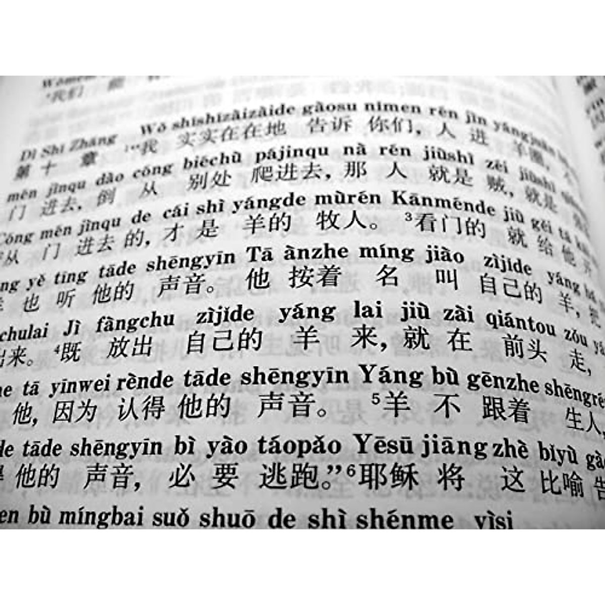 Pinyin New Testament Bible in Simplified Chinese. 拼音新约圣经 (简). 拼音新約聖經 (簡)