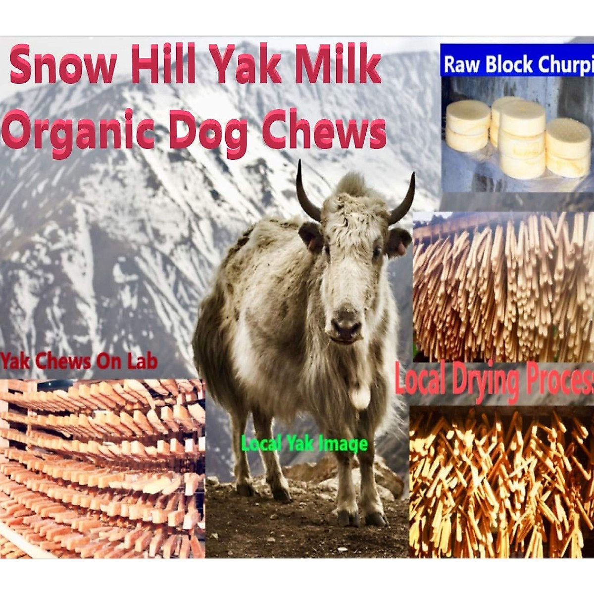 Snow Hill Himalayan Yak Cheese Dog Chews Double X Monster 13-14 Oz 10-11 in Long Grade A Healthy Odorless Yaky Golden Cheese Organic Dog Treats