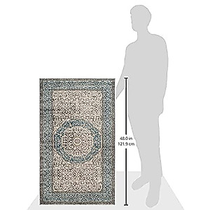 SAFAVIEH Sofia Collection 2'6" x 4' Light Grey/Blue SOF365A Vintage Oriental Distressed Non-Shedding Living Room Bedroom Accent Rug