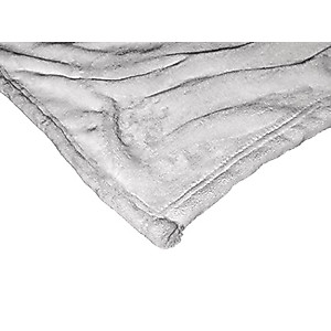 Northwest DC League of Super-Pets Silk Touch Throw Blanket, Unite, 50" x 60"