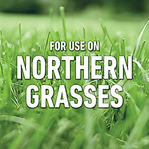 Roundup For Lawns₃ Ready-To-Spray - Tough Weed Killer for Use on Northern Grasses, 32 oz.