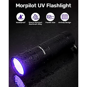morpilot Blacklight Flashlights uv Flashlight: 12 Led 395nm 2 Pcs Black Light Flashlight Mini, Pet Urine Detector Light for Dog/Cat, Dry Stains, Resin Curing, Bed Bug