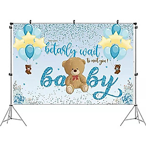 We Can Bearly Wait Baby Shower Decorations, Sky Blue Teddy Bear Backdrop, Bearly to Meet You Banner Backdrop for Boys Girls Party Decorations Baby Shower Photography Background Wall Hanging