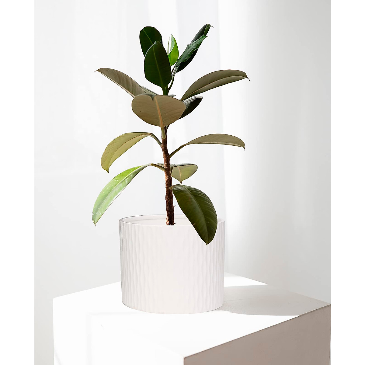 LaDoVita Ceramic Plant Pot with Stand, 8 Inch Planter with Wood Shelf, Modern Round Flower Pots Indoor with Wood Planter Holder, White Water Ripple Pattern