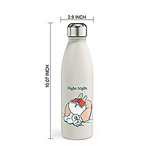 Zak Designs LINE Friends CONY 17.5 oz Stainless Steel Vacuum Insulated Water Bottle with Leak-Proof Cap Keeps Drinks Cold