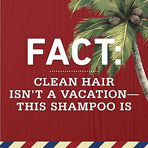 Old Spice Fiji 2in1 Shampoo and Conditioner for Men, 13.5 fl oz, 5.449 Fl oz