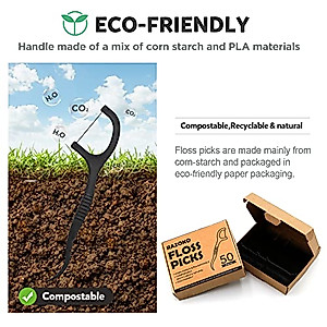 Natural Dental Floss Picks High Toughness Charcoal Toothpicks Sticks-Vegan,Eco-Friendly Sustainable Flossers for Teeth Cleaning (200 Count)