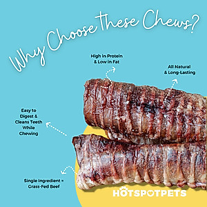 hotspot pets Premium 6'' Beef Trachea for Dogs Large - All Natural Long Lasting Dog Chews Rich in Glucosamine & Chondroitin 100% Beef Chews Single Ingredient Grass Fed Dog Treats - (8 Count)