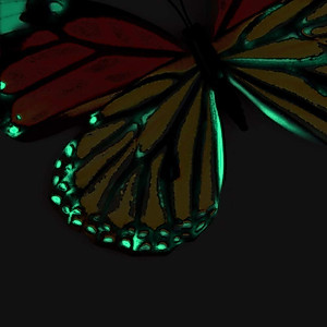 12PCS 3D Luminous Fridge Magnets Butterfly in Dark Magnetic Home Room Decor DIY Wall Decoration