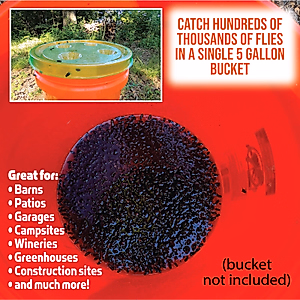 Billy-Bob Fly-Lid 5 Gallon Bucket Fly Lid (2 Pack) Turn Any 5 Gallon Bucket into a Fly Trap!