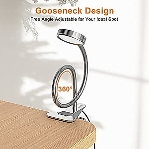 LEPOWER Clip on Light/Book Light/Reading Light with 2 Color Changeable/Night Light Clip on for Desk, Bed Headboard and Computers (Silver)