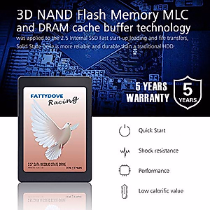 FATTYDOVE 2.5 inch SSD 120GB Internal Solid State Drive SATA3 SSD Drive 2.5 inch 6Gb/s for PC/Laptop with SATA III Cable (120GB SSD Drive)