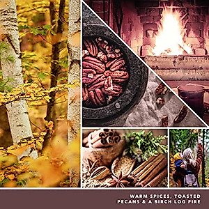 Yankee Candle Praline & Birch Signature Medium Pillar Candle, 14.25oz