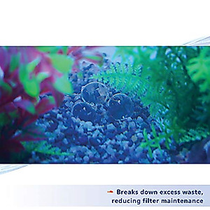 Aqueon Pure Bacteria Supplement - 24 Pack (10 Gallon)