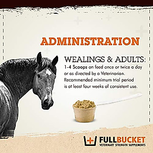 FullBucket Equine Probiotic Granules with Saccharomyces boulardii for Daily Digestive Optimization; Concentrated Formula with 25 Billion CFUs - 30 Servings