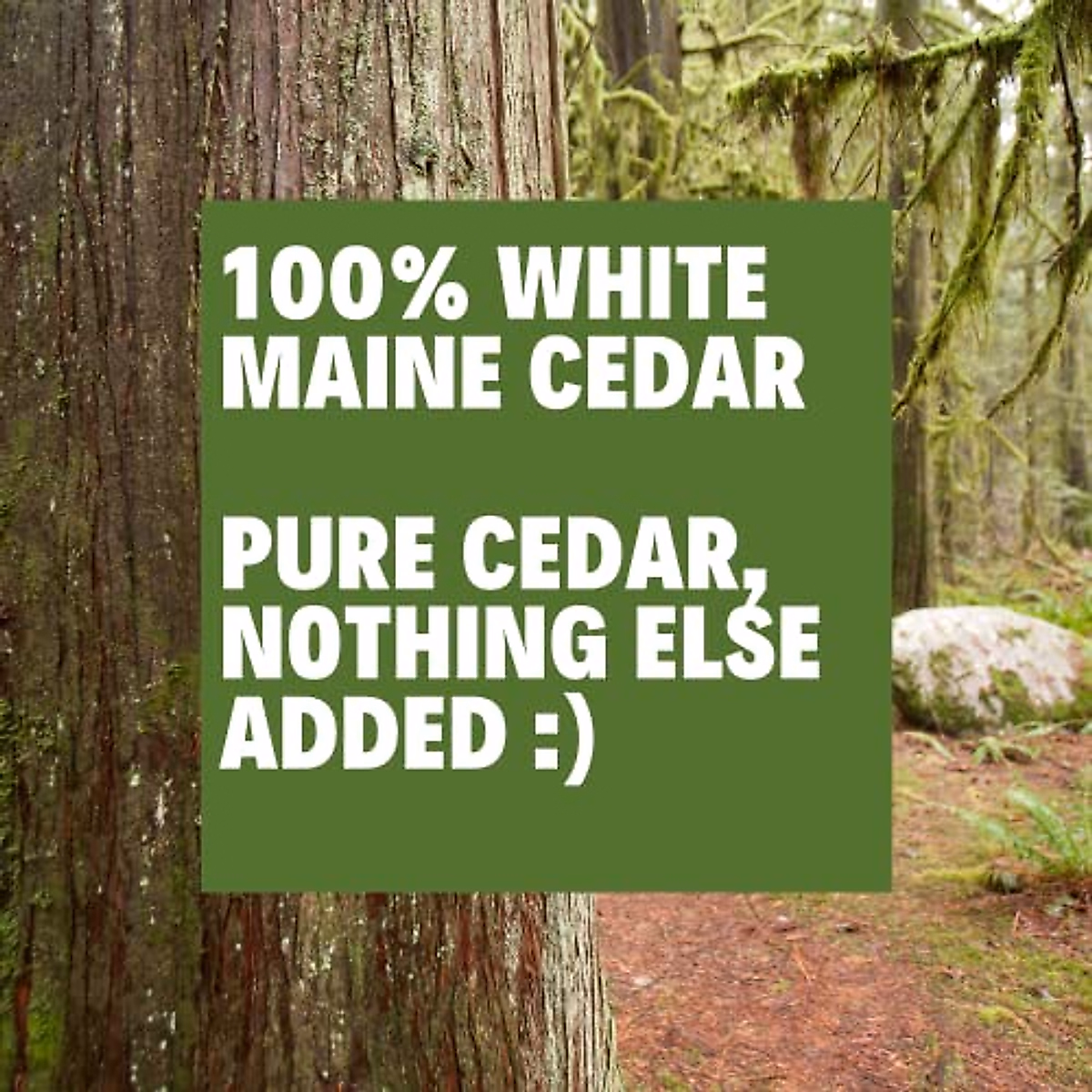 East Coast Cedar Planks for Grilling Salmon Made from 100% Natural Maine White Cedar -12 Pack - Adds a Delicious Smokey Flavor - Great for All Fish and Meats…