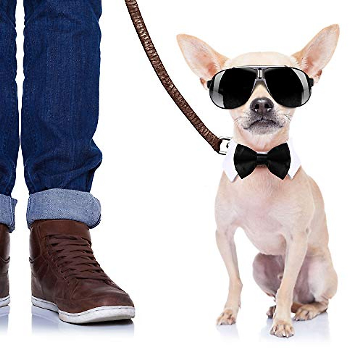 7 Pieces Adjustable Pets Bow Tie Striped Dog Pet Formal Tuxedo Costume Necktie Collar Puppy Grooming Ties for Small Dogs and Cats, S Size (Cute Pattern) (Chic Pattern)