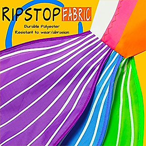 emma kites 29-inches Balloon Fish Windsock Hanging Décor for Garden Backyard Balcony Porch Campsite Decoration