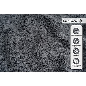 LANE LINEN Luxury Bath Towels Set - 3 Piece 100% Cotton Bathroom Towels, Quick Dry, Extra Aborbent, Super Soft Towels Set 1 Hand Towel, 1 Wash Cloths, 1 Bath Towel, Space Grey