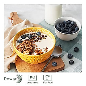 DOWAN Ceramic Soup Bowls, Colorful Deep Cereal Bowls, 30 Ounce Bowls Set of 4 for Ramen, Salad, Fruits, Snack, Pasta, Side Dishes, Ideal Wedding Party Housewarming Gift