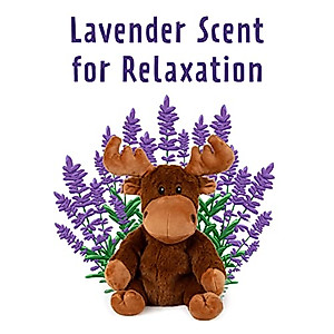 1i4 Group Warm Pals Microwavable Lavender Scented Plush Toy Stuffed Animal - Mack Moose