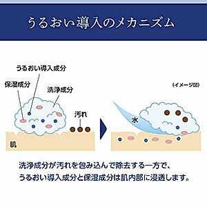 Shiseido Senka - Two Senka Perfect Whip 120g