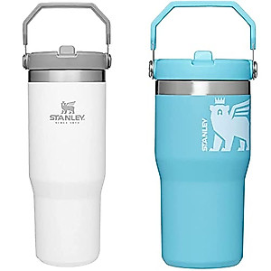 Stanley IceFlow Stainless Steel Tumbler & Classic IceFlow Flip Straw Tumbler for Kids (8 or Above), 20oz, Stan The Bear Stainless Steel Tumbler with Double-Wall Vacuum Insulation