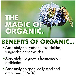 Organic Hearty Morning Cereal 14.60 Ounces (Case of 10)