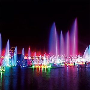 TWXG Colored with Remote Pool Light IP68 Waterproof Stainless Steel Underwater Lights Submersible Night Lamp DC 12V 24V Outdoor Garden Swimming Pool Fountain Lights