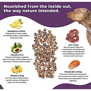 PetScy – Multi-Vitamin Chews, Dog Vitamins Multivitamin Treats, Multivitamin for Dogs of All Ages, Breeds & Sizes, Chewable Dog Vitamins with Omega 3 and Zinc, Pork Flavor, 30 Chews