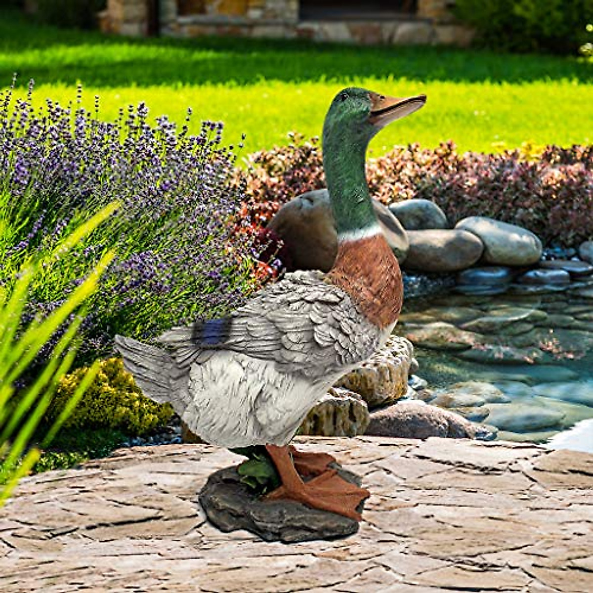 Design Toscano QM18989 Mallard Duck Animal Garden Statue, 13 Inch, Polyresin, Full color