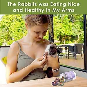 ERKOON Rabbit Chew Toys, 10PCS Timothy Grass Treats Small Animal Molar Toys for Guinea Pig Hamster Bunny Chinchilla Gerbil, Handmade Rabbit Chews and Treats