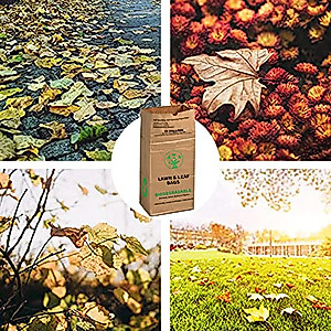 AimGrowth 30 Gallon Heavy Duty Brown Paper Lawn and Leaf Bags with 20 GAL Dustpan-Type Bag, 2-Ply Heavy Duty Large Kraft Paper Bags (10 Count) | Tear Resistant Yard Waste Bag for Home and Garden