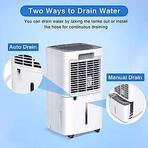 SEAVON 2,000 Sq. Ft Dehumidifiers with Pump for Home and Basements, with 2L Water Tank, Ideal for Bedroom, Bathroom, Intelligent Humidity Control, Continuous Drainage for Living Room/Closet